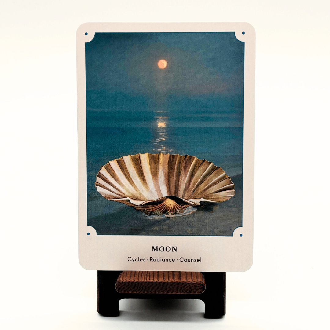 The Seashell Oracle: 44 Card Deck and Guidebook – Psychic Sister